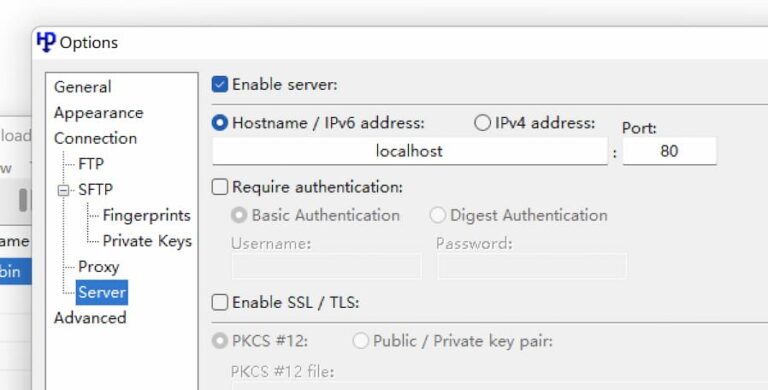 HTTP Downloader - 一个简约的下载器，最大 10000 个连接，支持 Chrome/Firefox 扩展[Windows ...