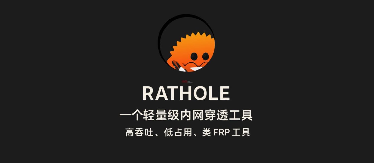rathole - 一个轻量级开源内网穿透工具，高吞吐、低占用，类 frp 工具 - 小众软件