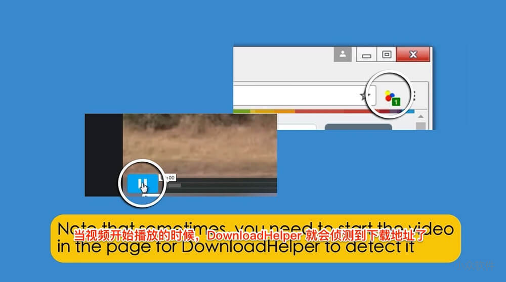 Video DownloadHelper - 最简单的方式下载网页视频 [Chrome/Firefox] - 小众软件